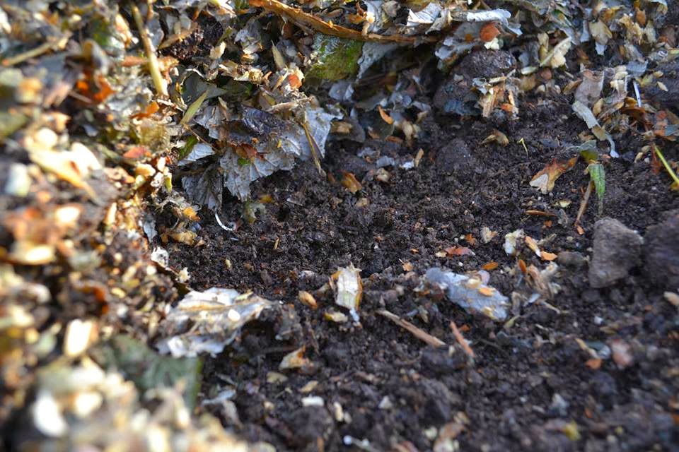 inlagg-1 - Sara Bäckmo