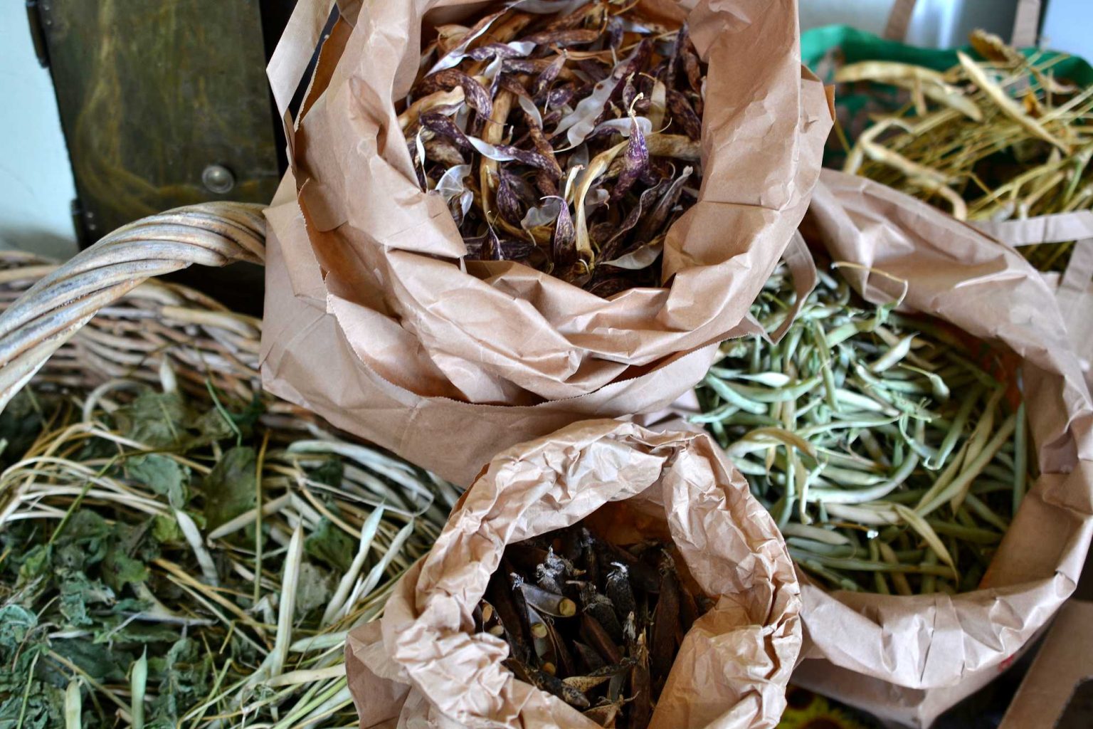 Storing dried beans at home – Sara's Kitchen Garden