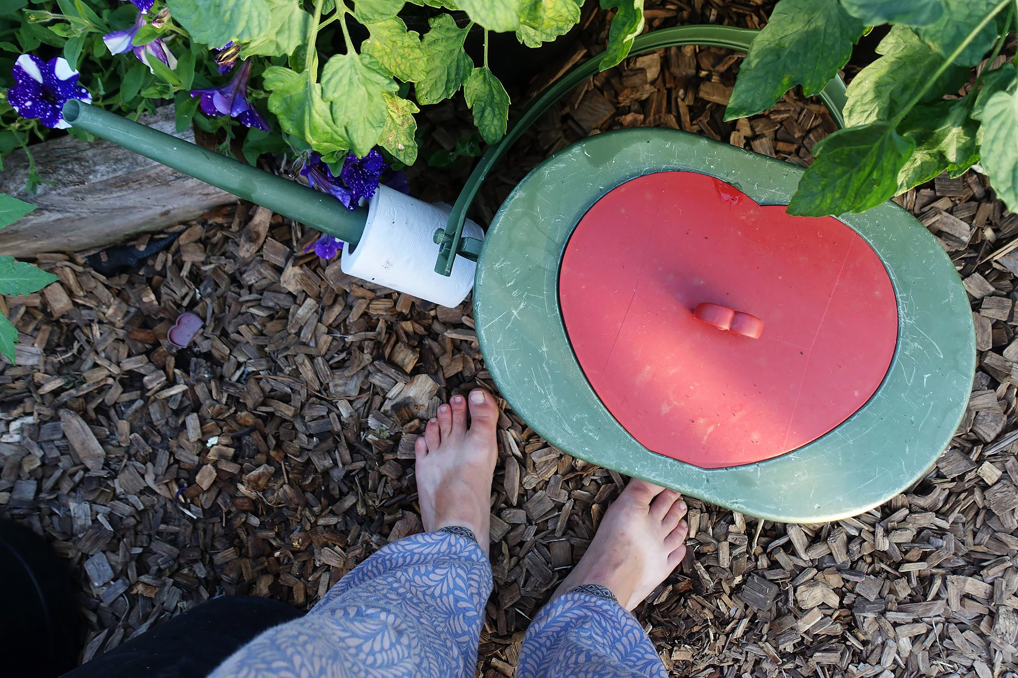 4 Organic fertilizers for your garden – Sara's Kitchen Garden