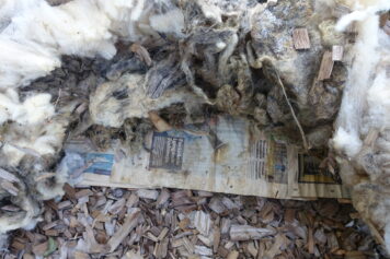 Mulching with wool in my garden – Sara's Kitchen Garden