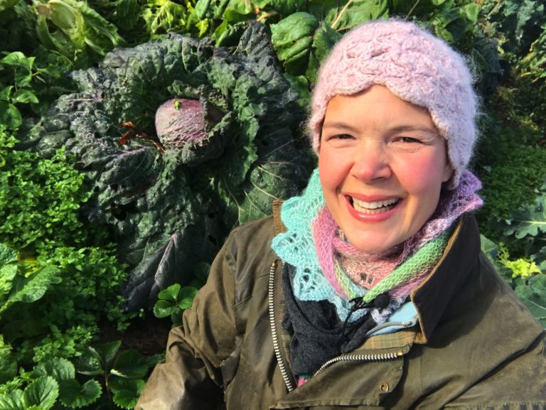 What is black salsify and how do I use it? – Sara's Kitchen Garden