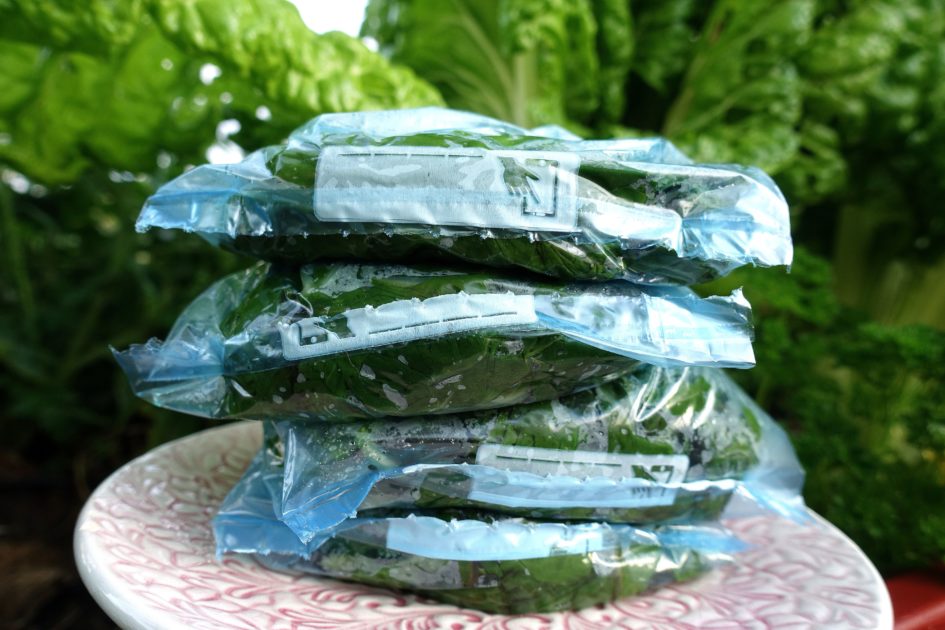 How to freeze chard in flat packages – Sara's Kitchen Garden