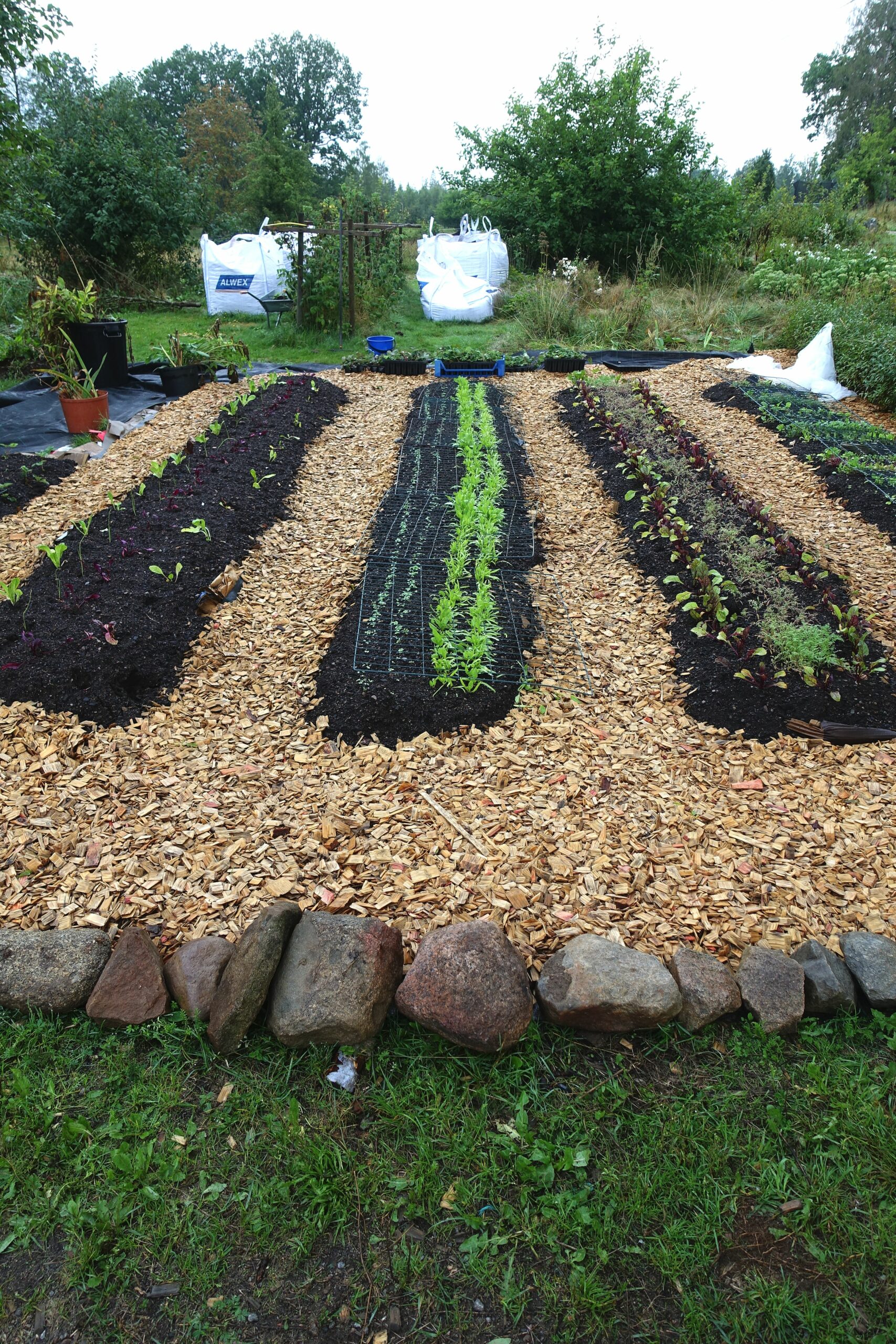 Guide: How to Edge Your Beds – Sara's Kitchen Garden