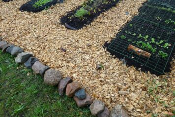 Guide: How to Edge Your Beds – Sara's Kitchen Garden