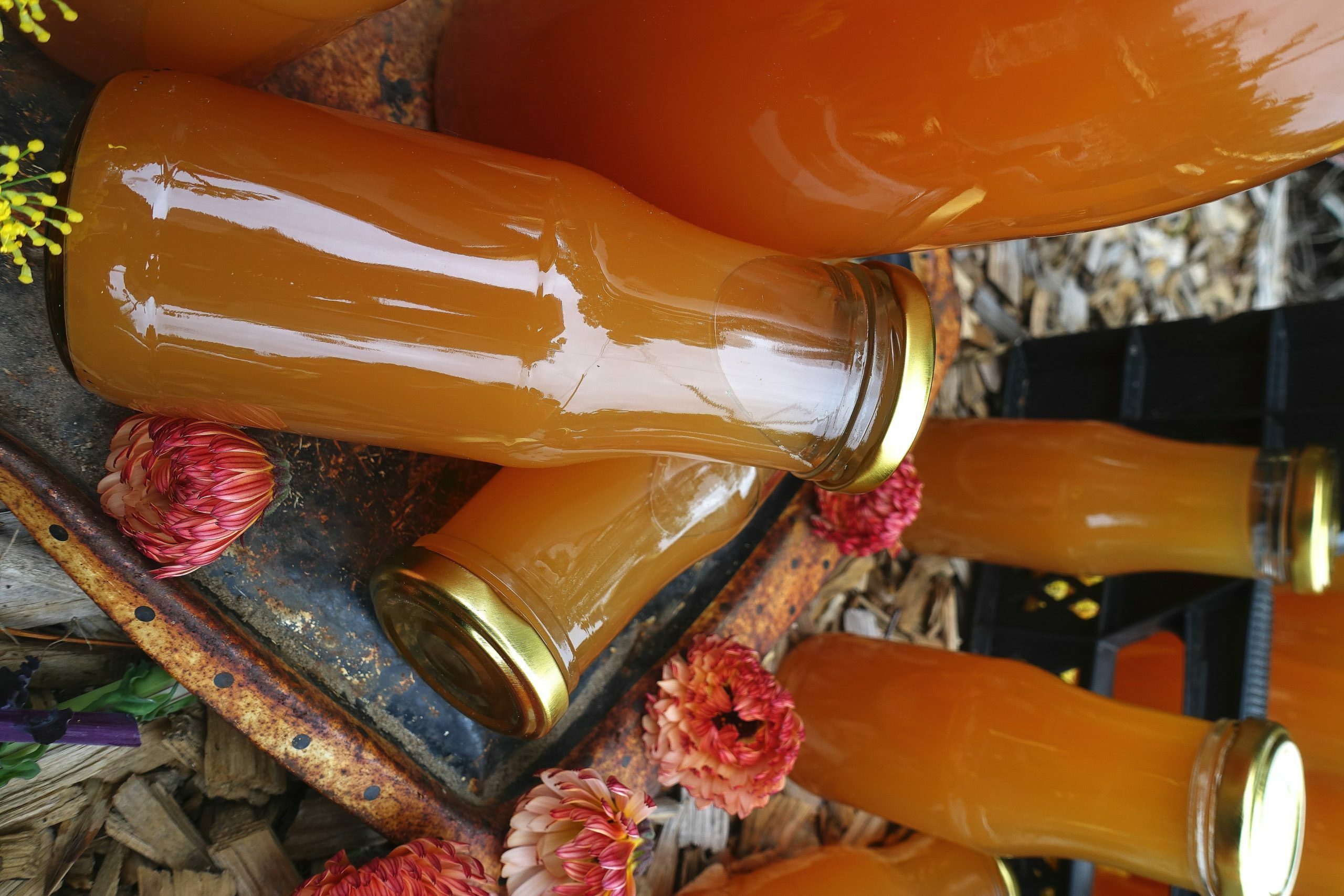 sarabackmo_applemust_appelmust - Sara Bäckmo