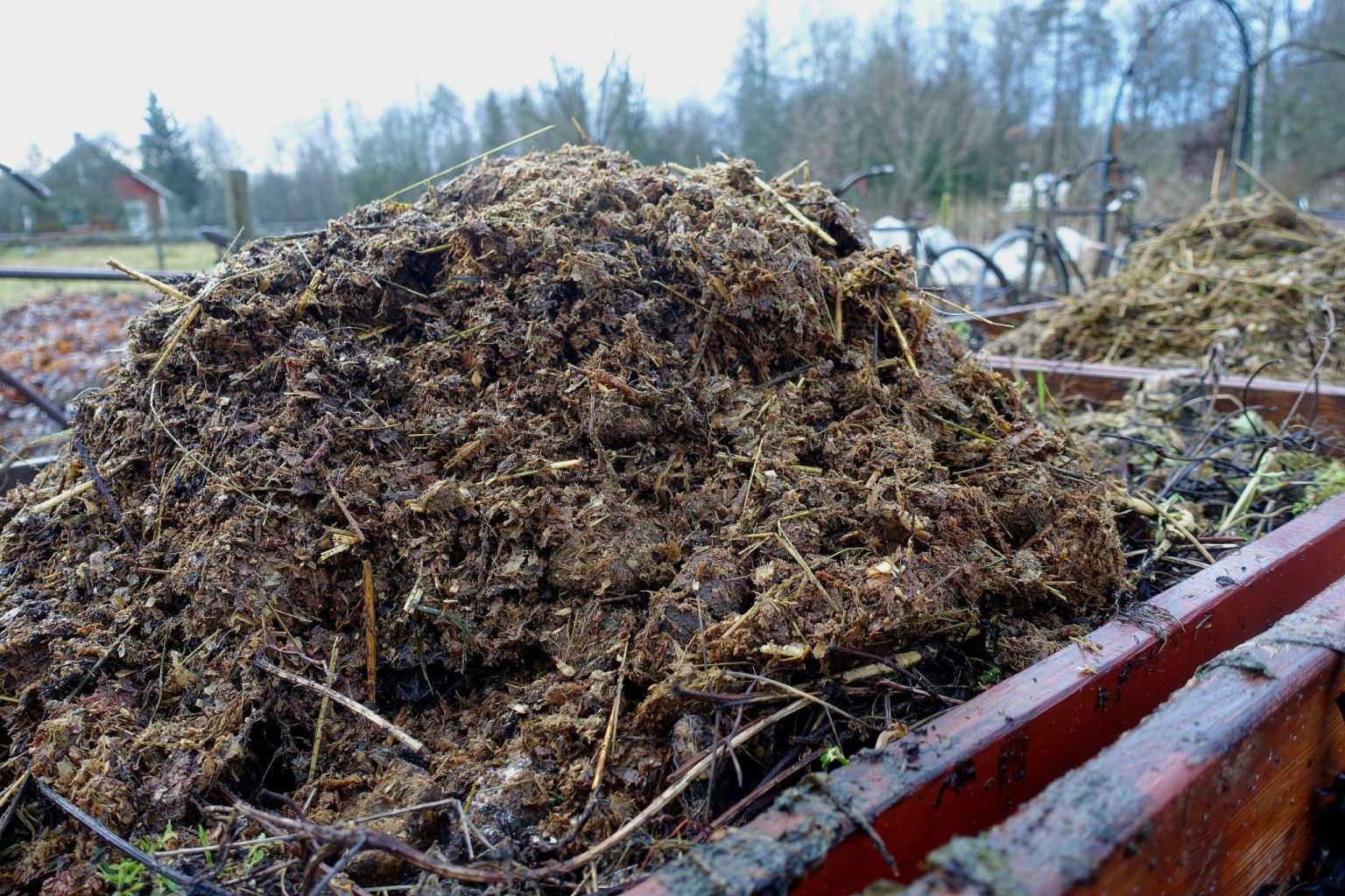 Using Fresh Manure as Fertilizer Part 2 – Sara's Kitchen Garden