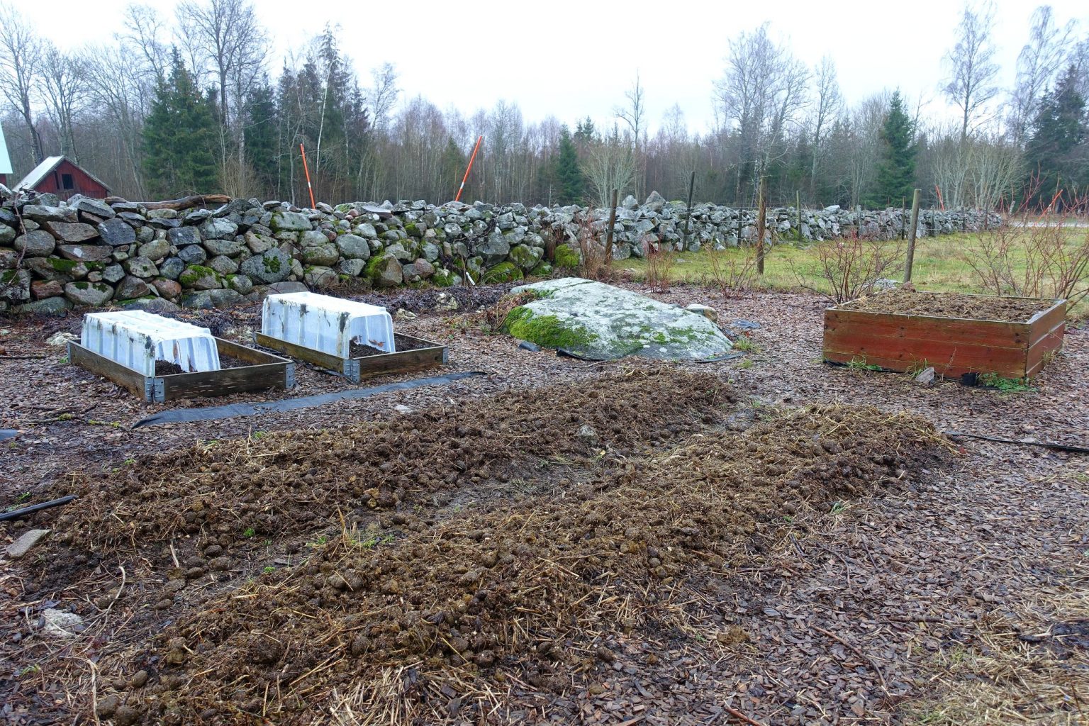 Using Fresh Manure as Fertilizer Part 2 – Sara's Kitchen Garden