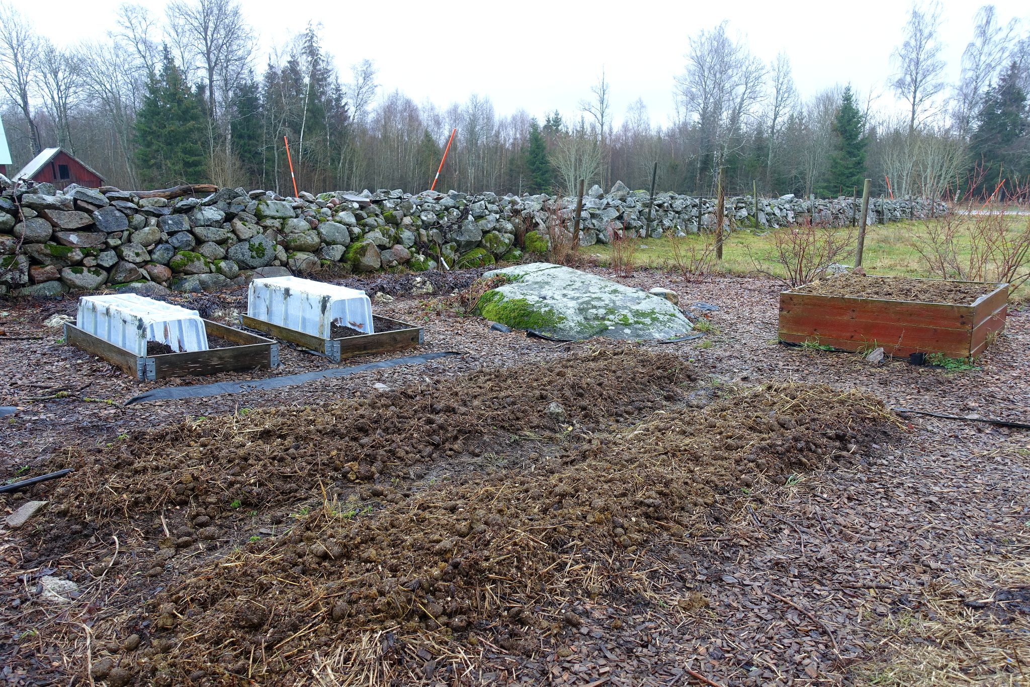 Using Fresh Manure as Fertilizer Part 2 – Sara's Kitchen Garden