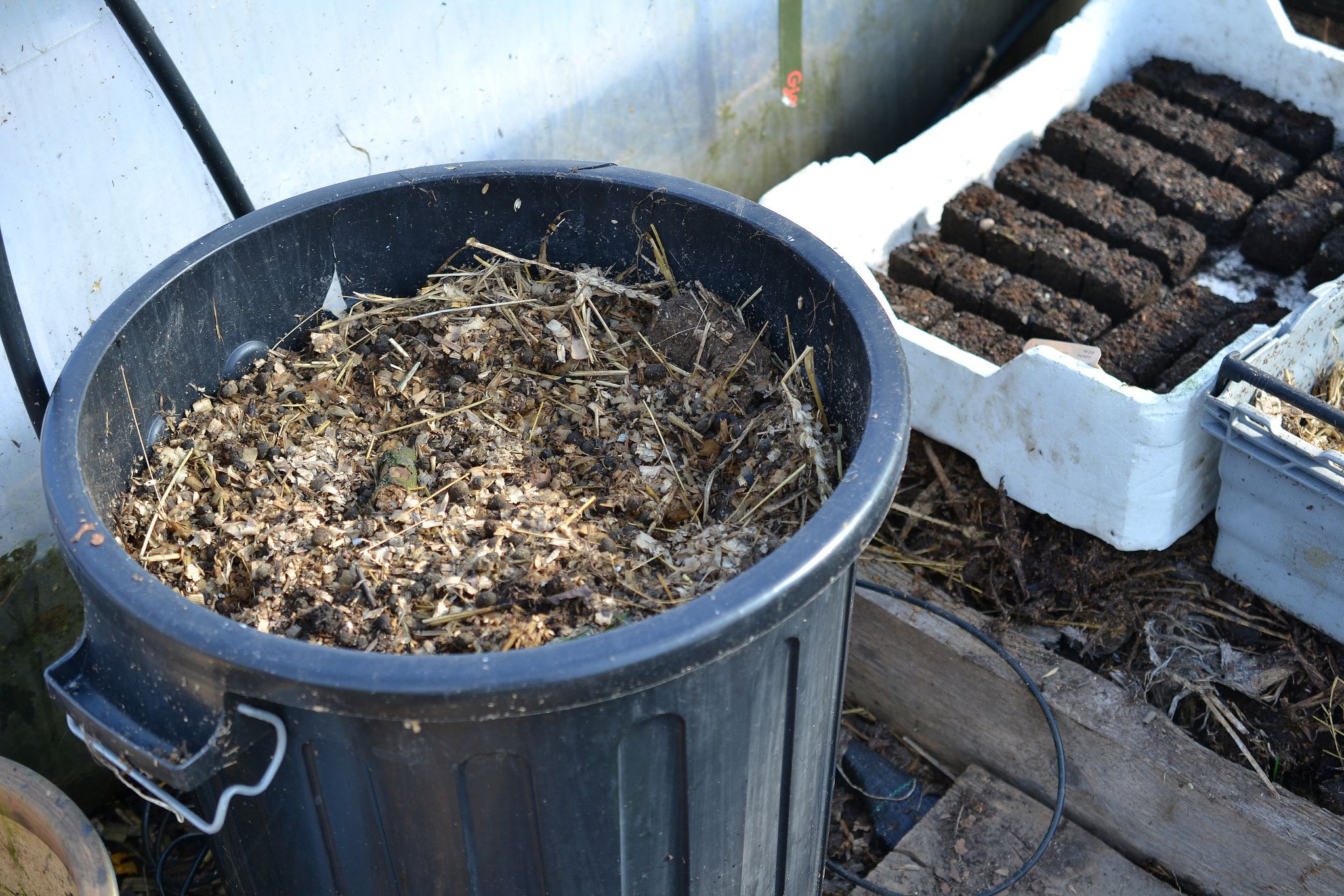 Using Fresh Manure as Fertilizer Part 2 – Sara's Kitchen Garden