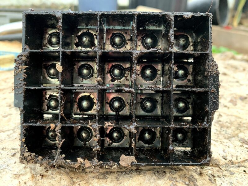 Soil blocker: Starting Seeds Without Pots! - Sara Bäckmo