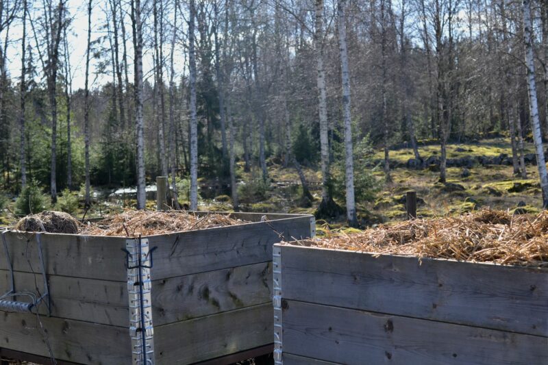 Using Fresh Manure as Fertilizer Part 2 – Sara's Kitchen Garden