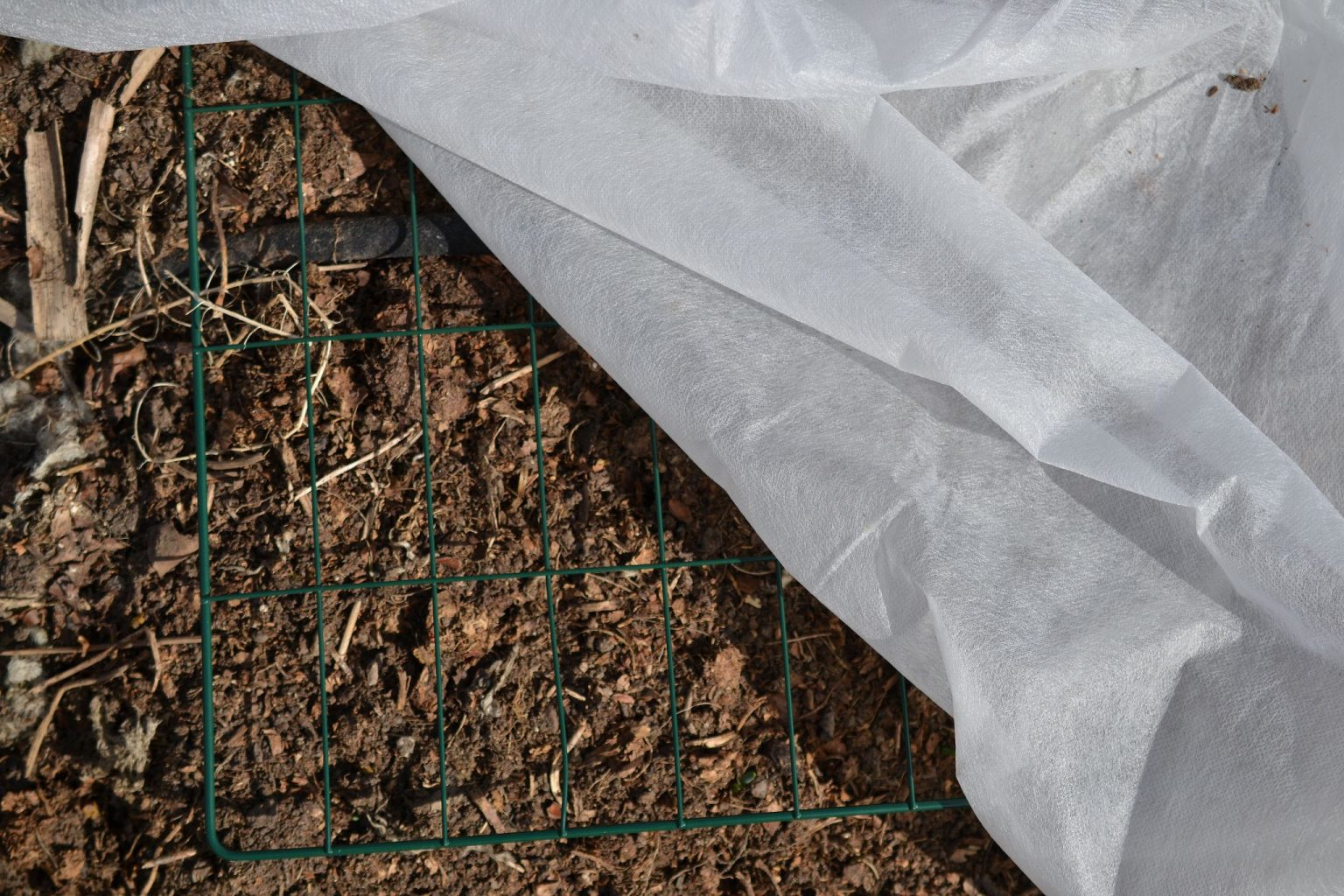 How to Use Row Cover in Your Garden – Sara's Kitchen Garden