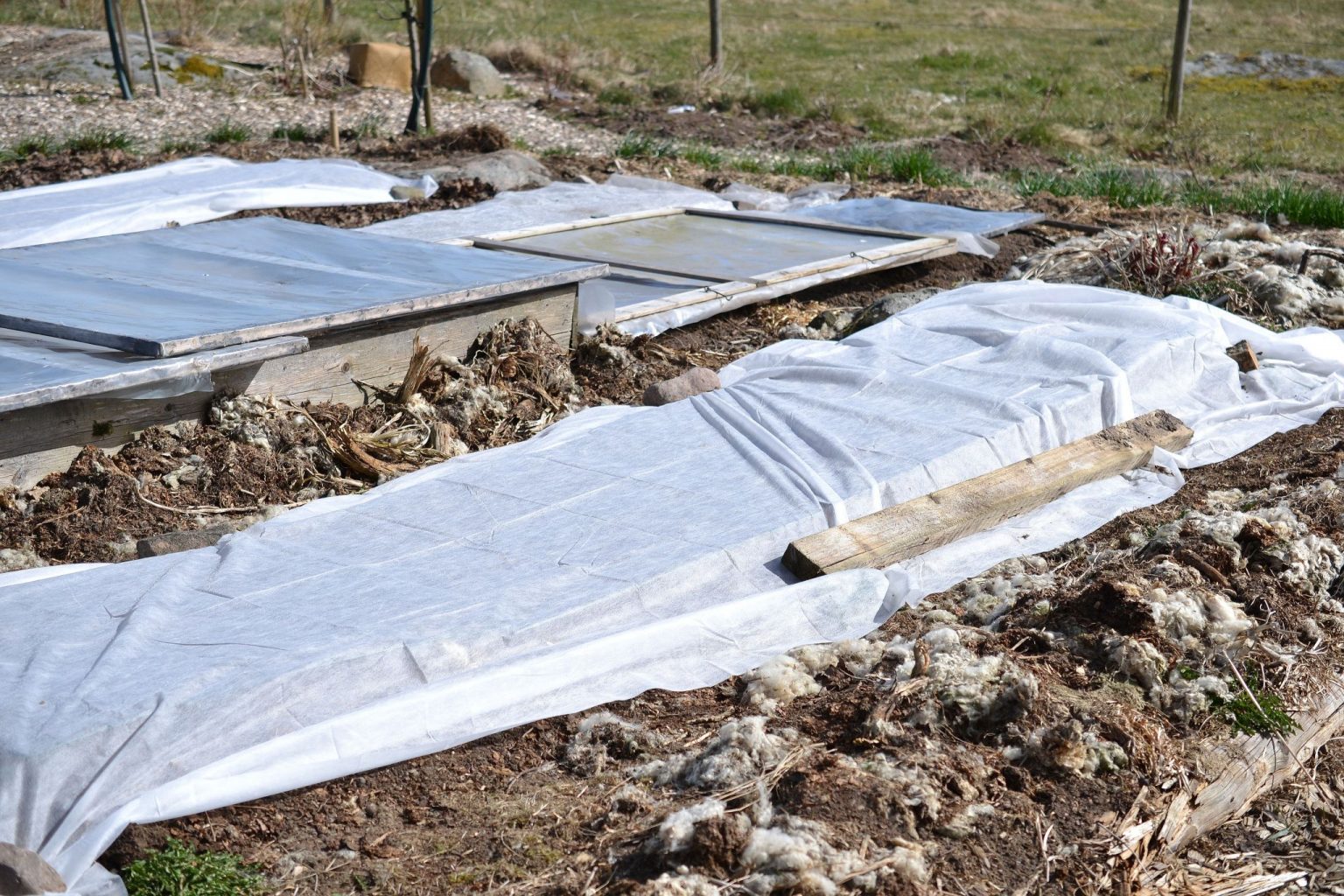 How to Use Row Cover in Your Garden – Sara's Kitchen Garden