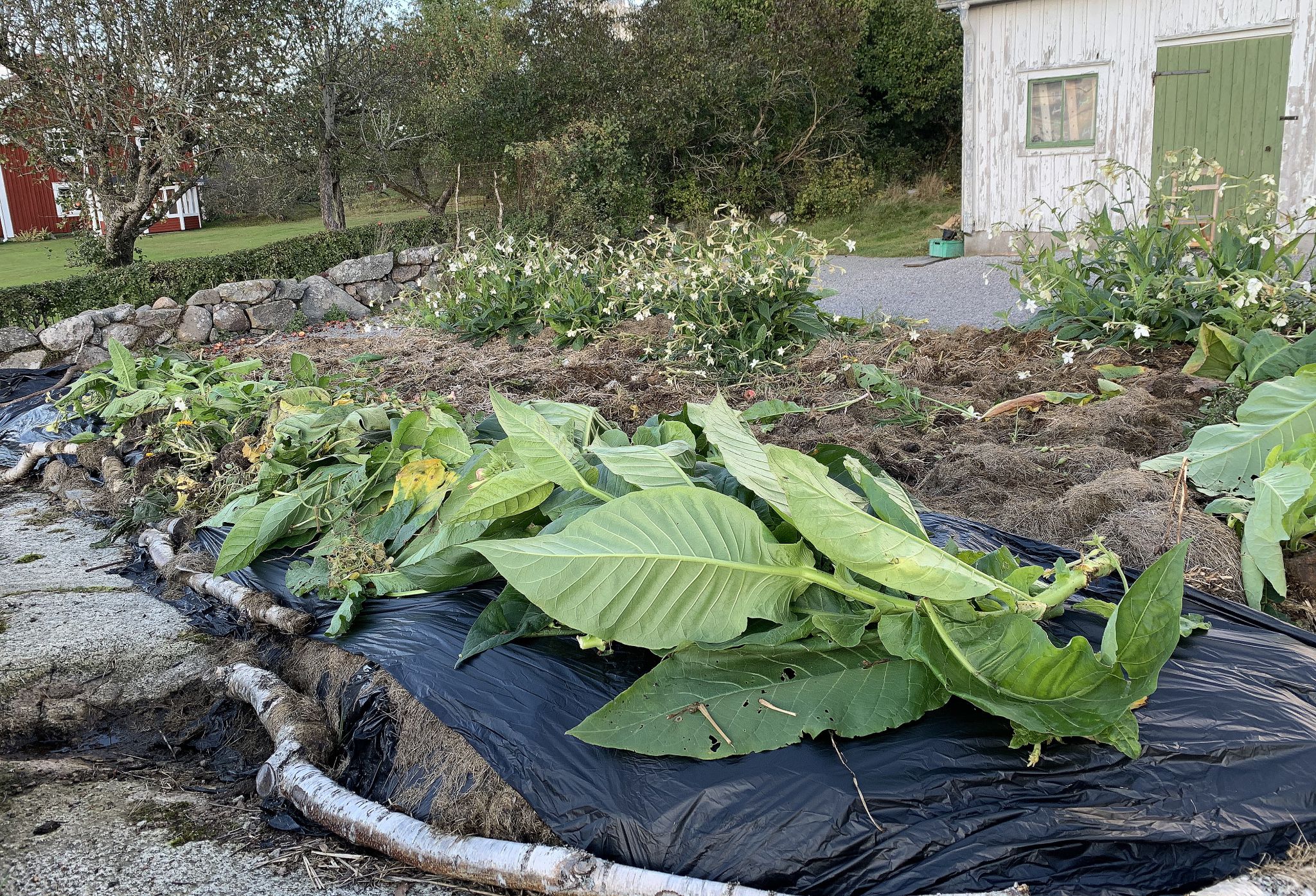 sarabackmo_tackodling_markduk - Sara Bäckmo