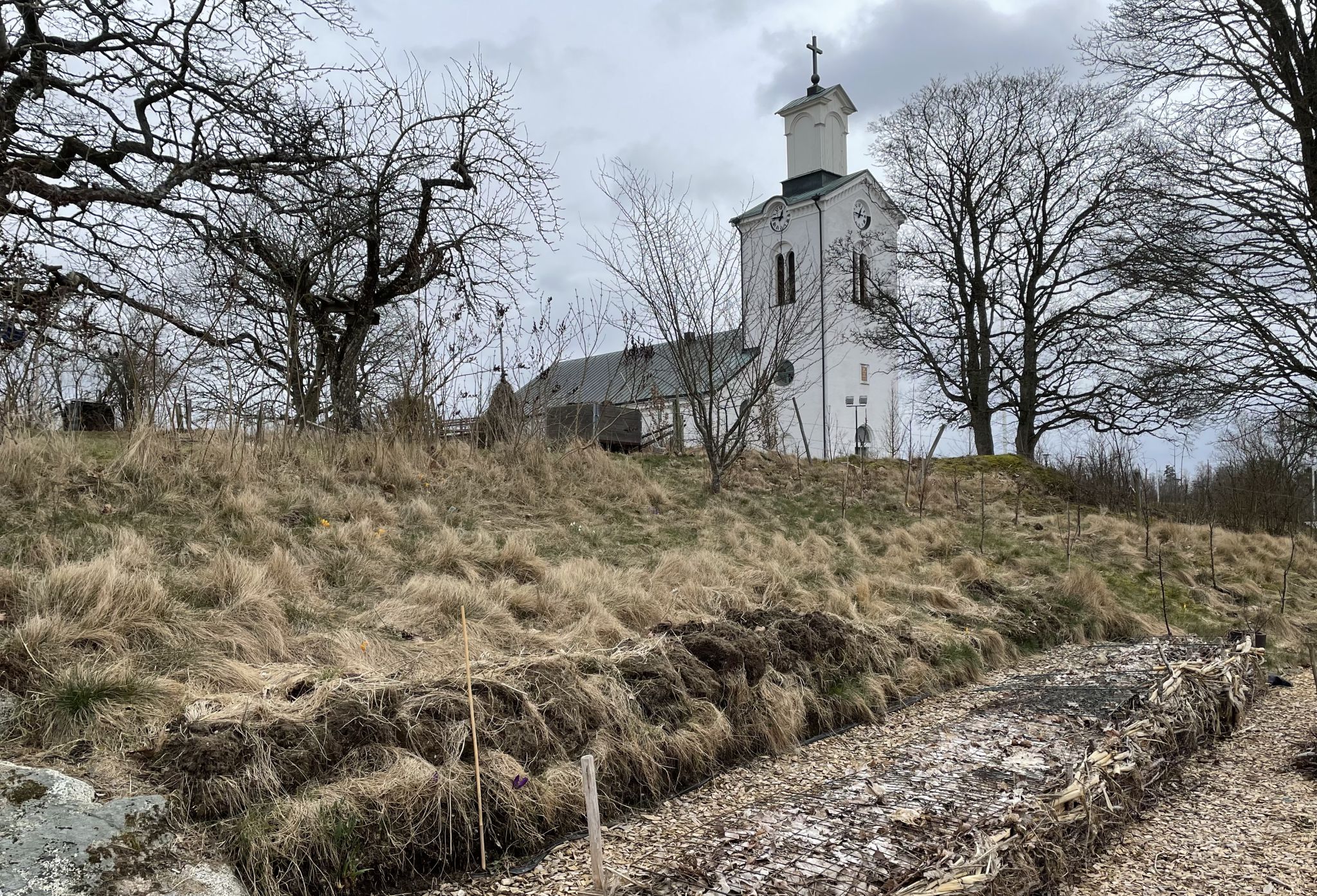 sarabackmo-tradgard-odla - Sara Bäckmo