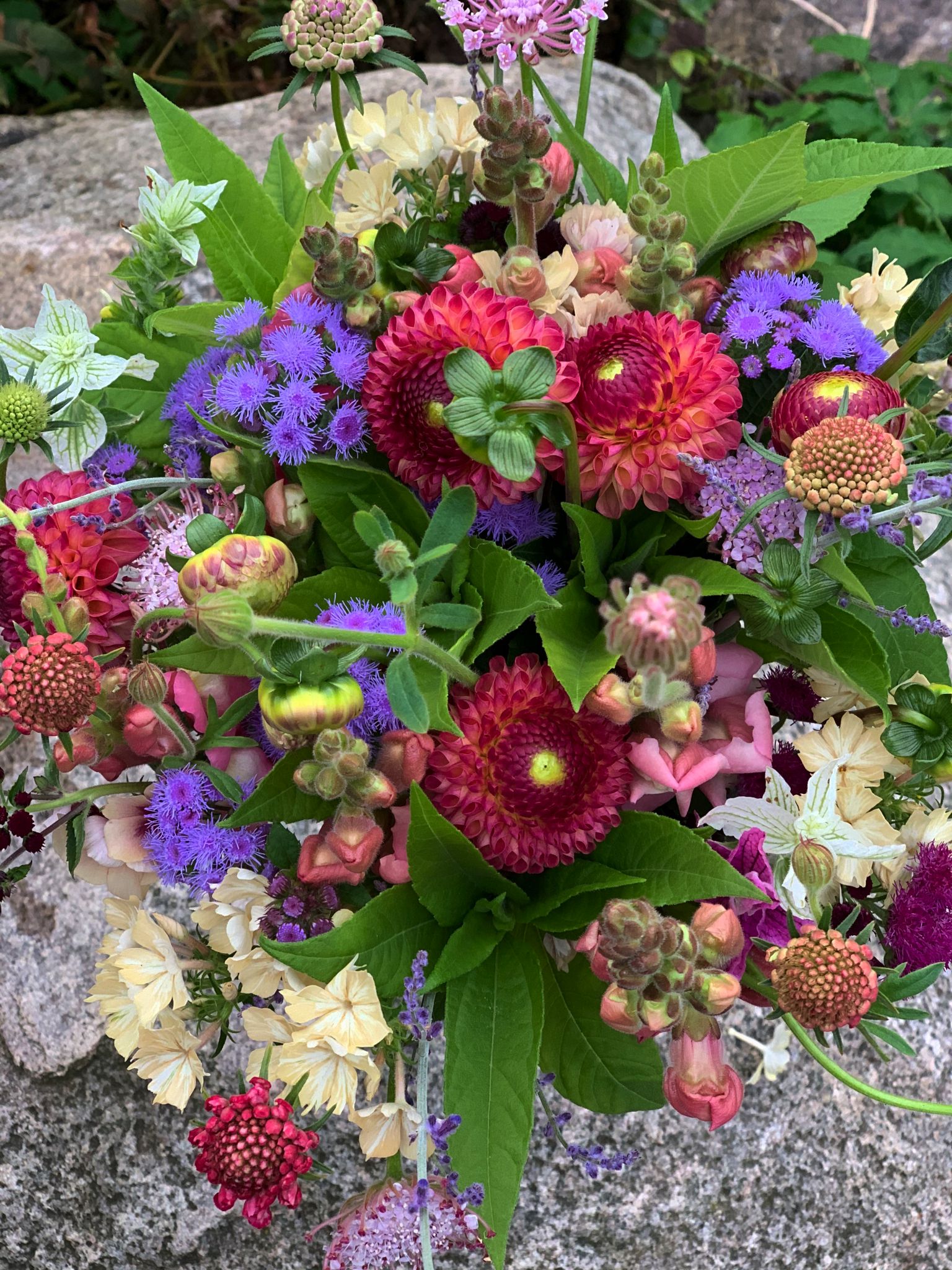 Sarabackmo bukett blommor Sara B ckmo sarabackmo-bukett-blommor-sara-b-ckmo
