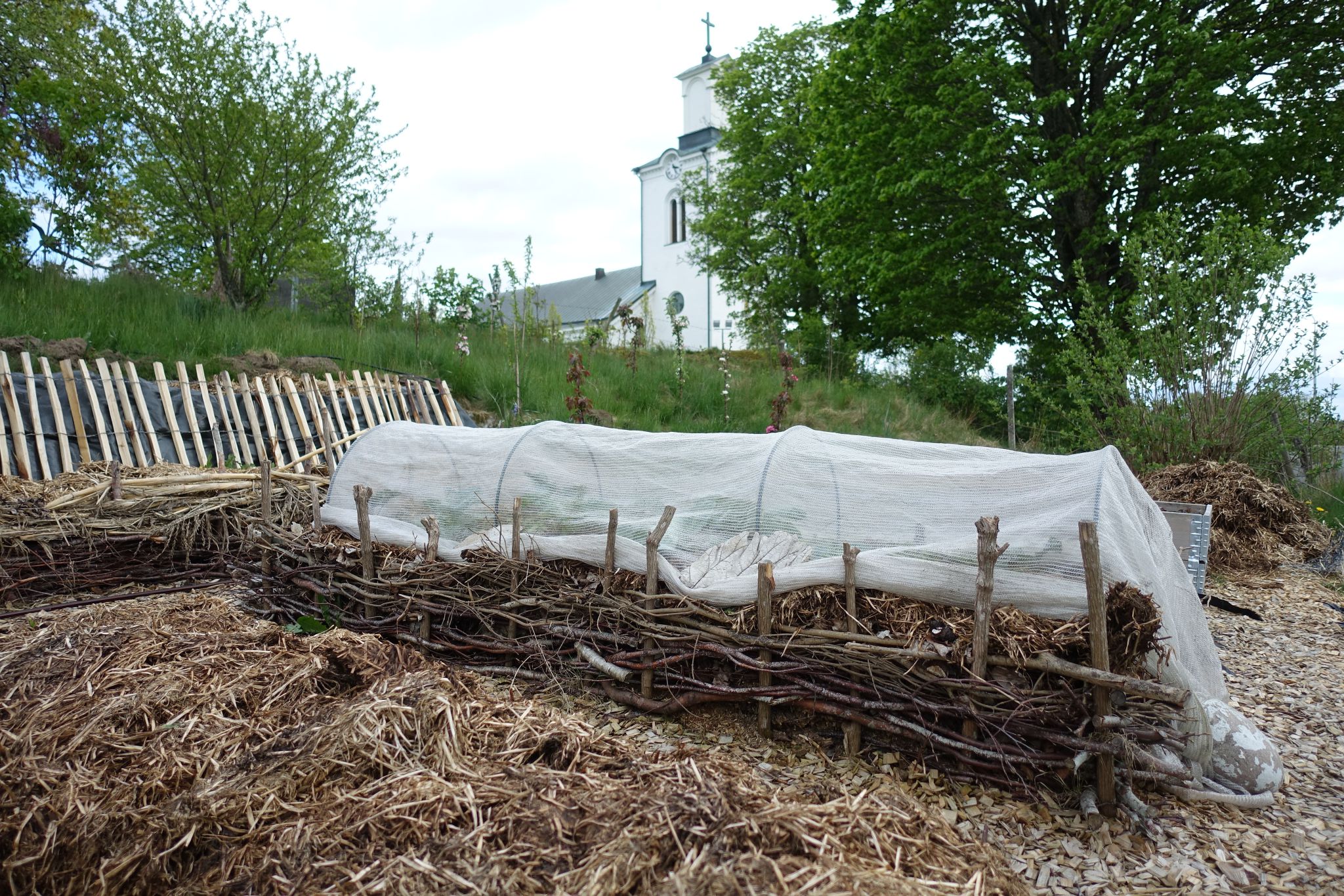 sarabackmo-tradgard-odling - Sara Bäckmo