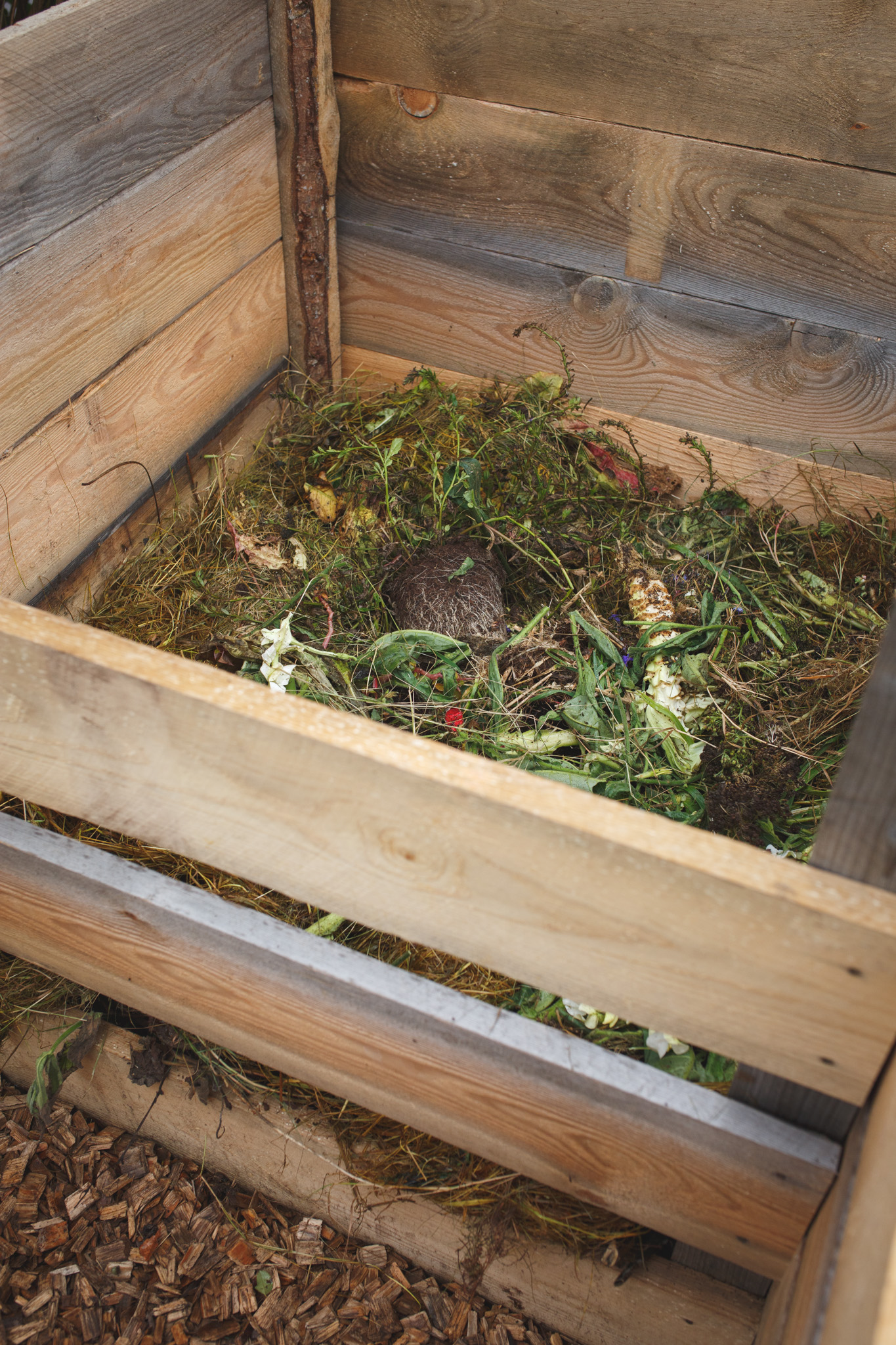 How to Make Compost: Beginner's Guide - Sara's Kitchen Garden