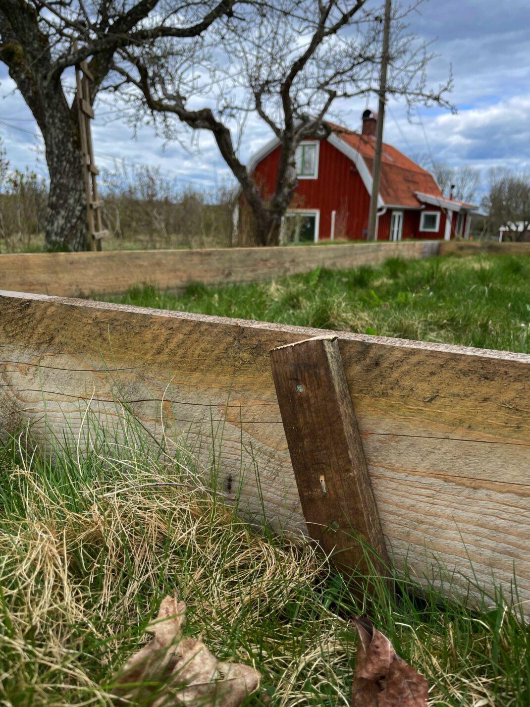 sarabackmo-tradgard-bygga - Sara Bäckmo