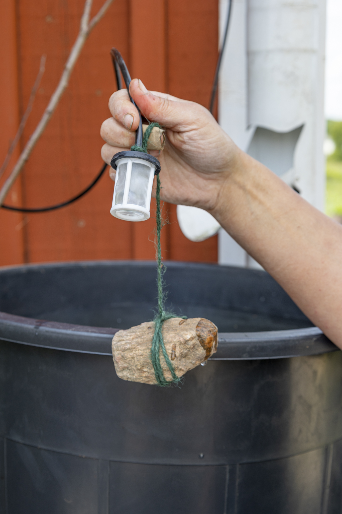 sarabackmo-installation-bevattning - Sara Bäckmo