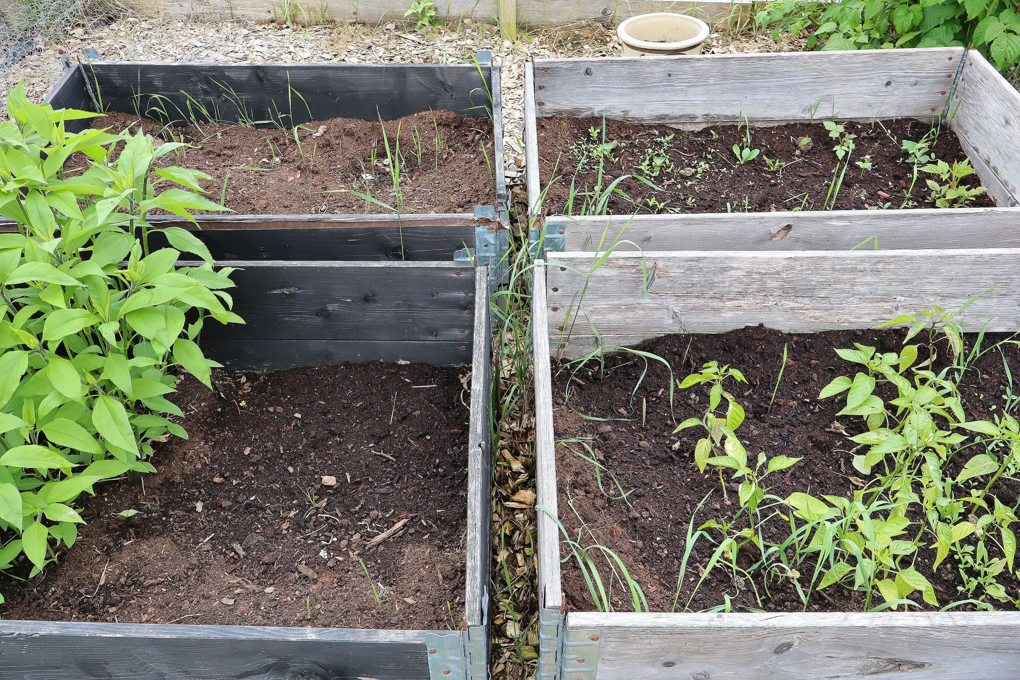 sarabackmo-tradgard-pallkragar - Sara Bäckmo